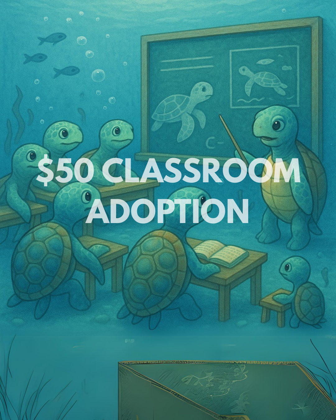$50 Classroom Adoption | The Karen Beasley Sea Turtle Rescue and ...
